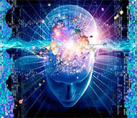 Chip Program - Indo Uniq